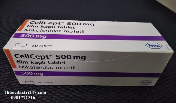 Cellcept 500mg là thuốc gì? - Asia Genomics